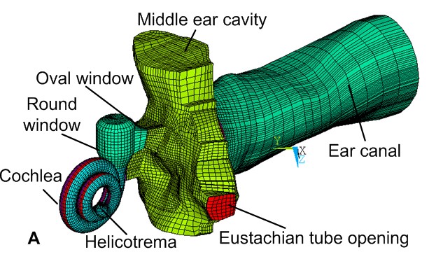BME Lab Research in Record
